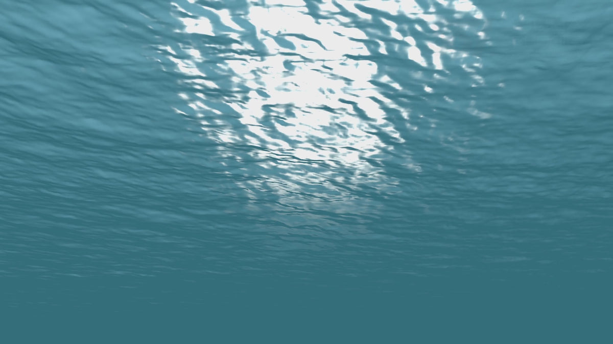 SSI Navigation Diver Course | JC Scuba Swindon – JC Scuba Shop